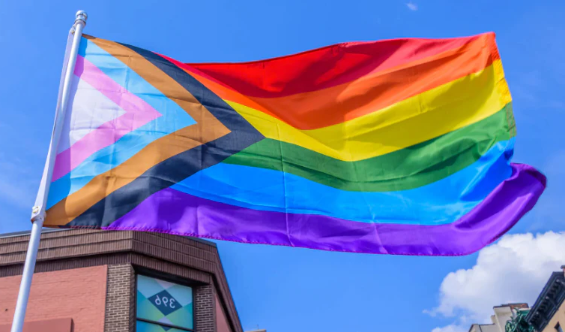 Progress Pride Outdoor Nylon Flag – Flags Unlimited